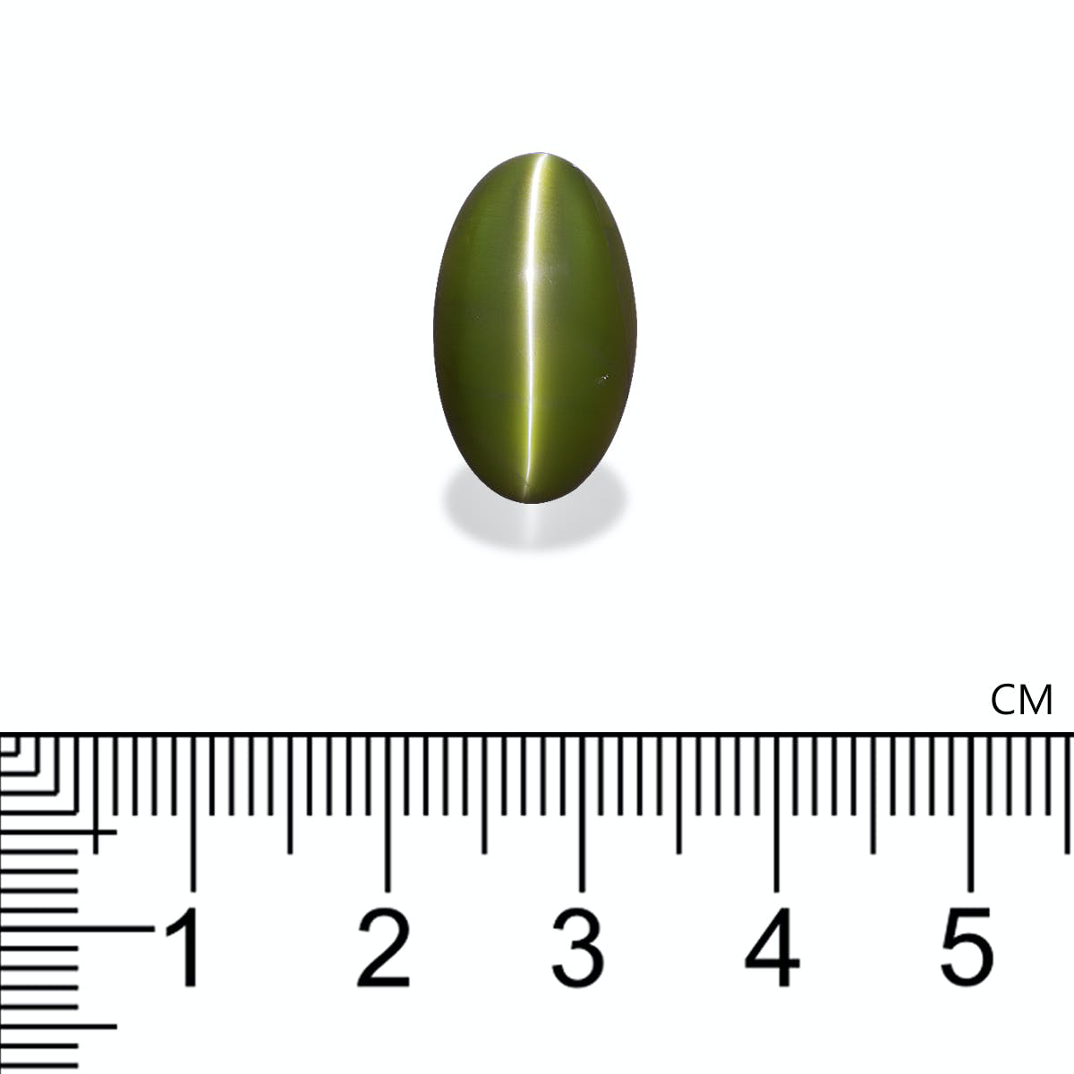 Cats Eye 14.48ct (CE0049) | Mohra.com